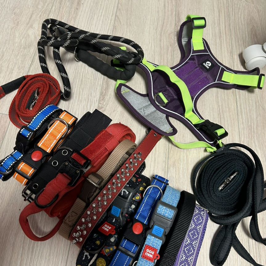 Амуниция для собак