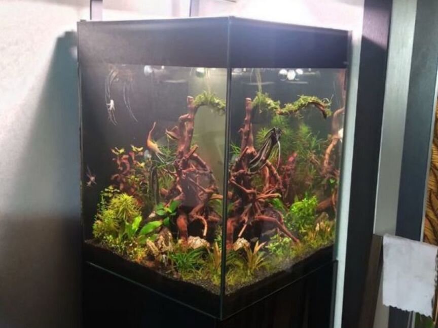 Аквариум aquael