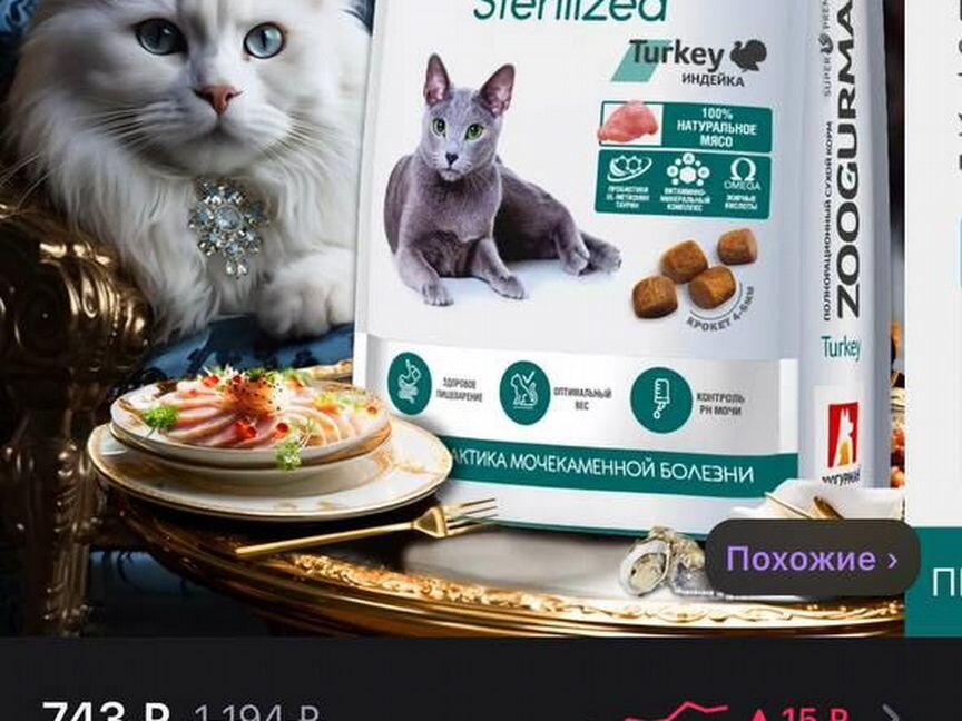 Кошачий сухой корм