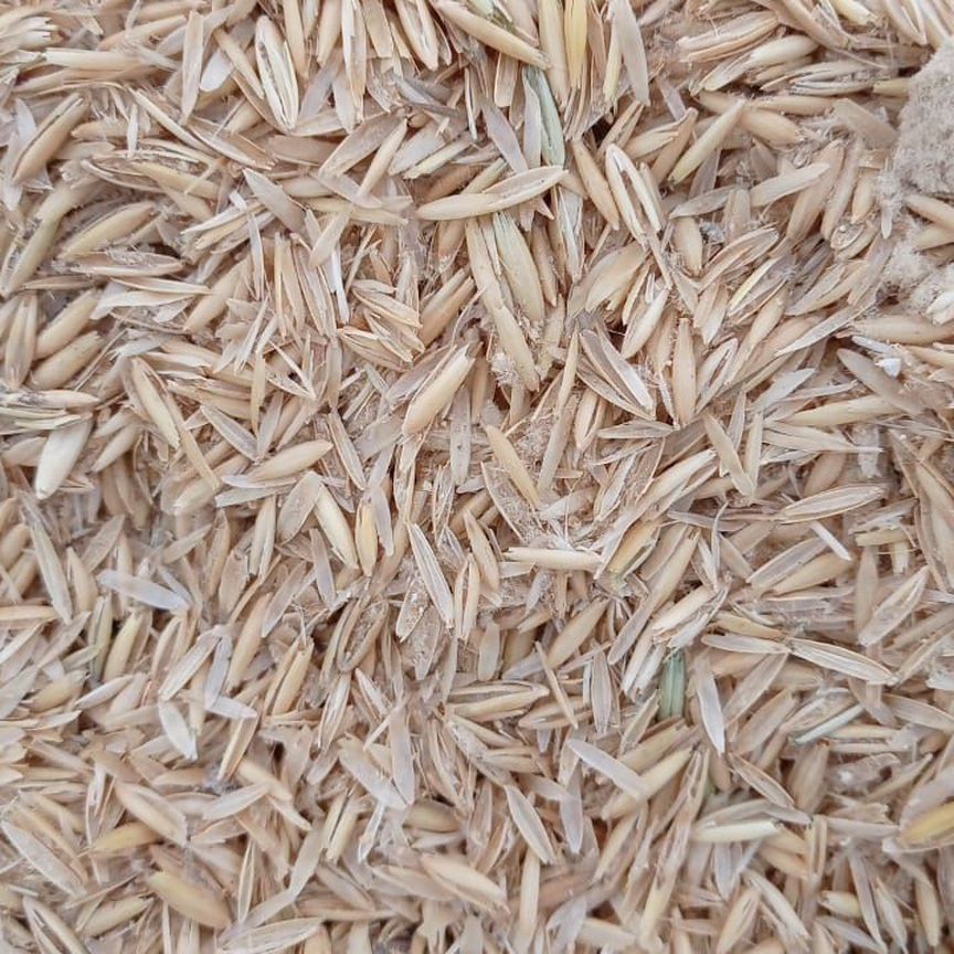 Зерноотходы, лузга овса, шелуха и ячменные