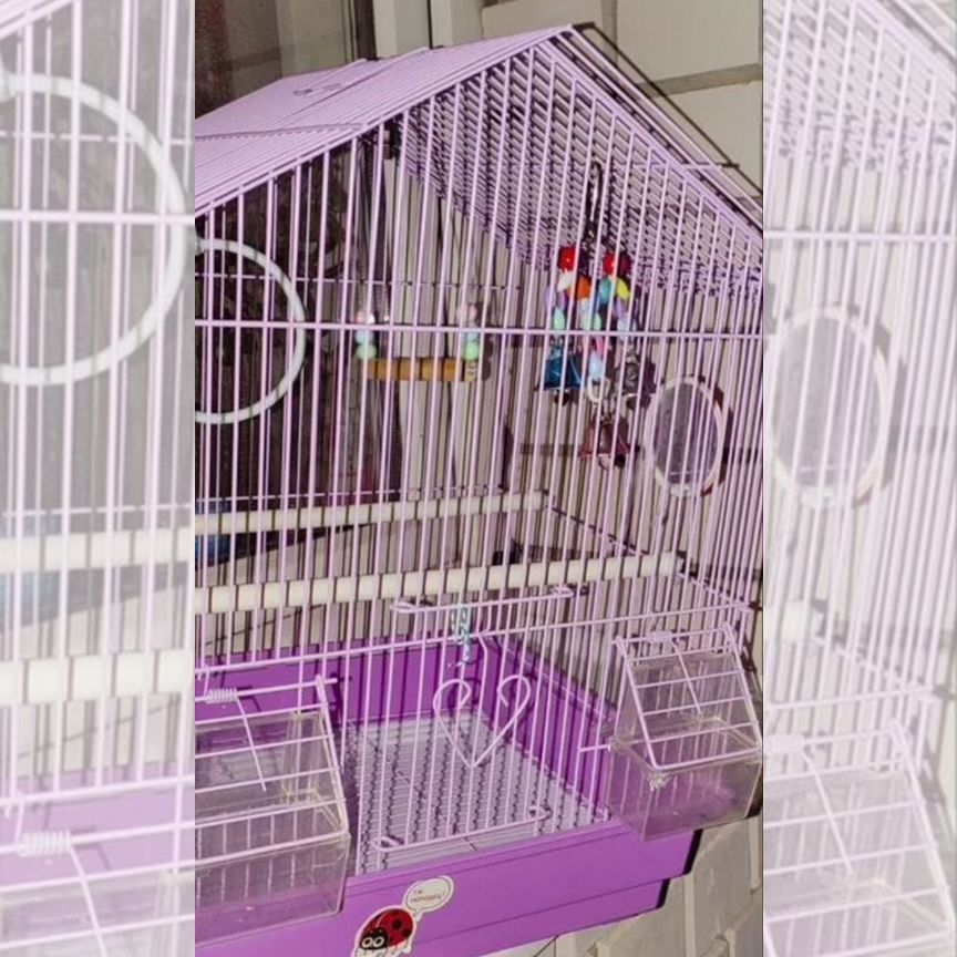 Игрушки для попугая