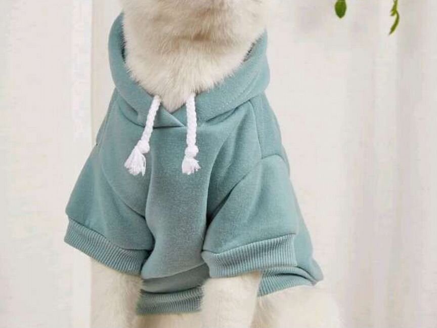Одежда для маленькой собаки кошки