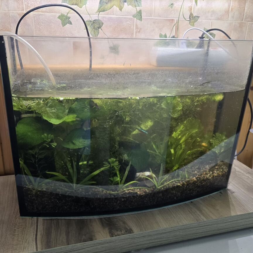 Аквариум 25 литров