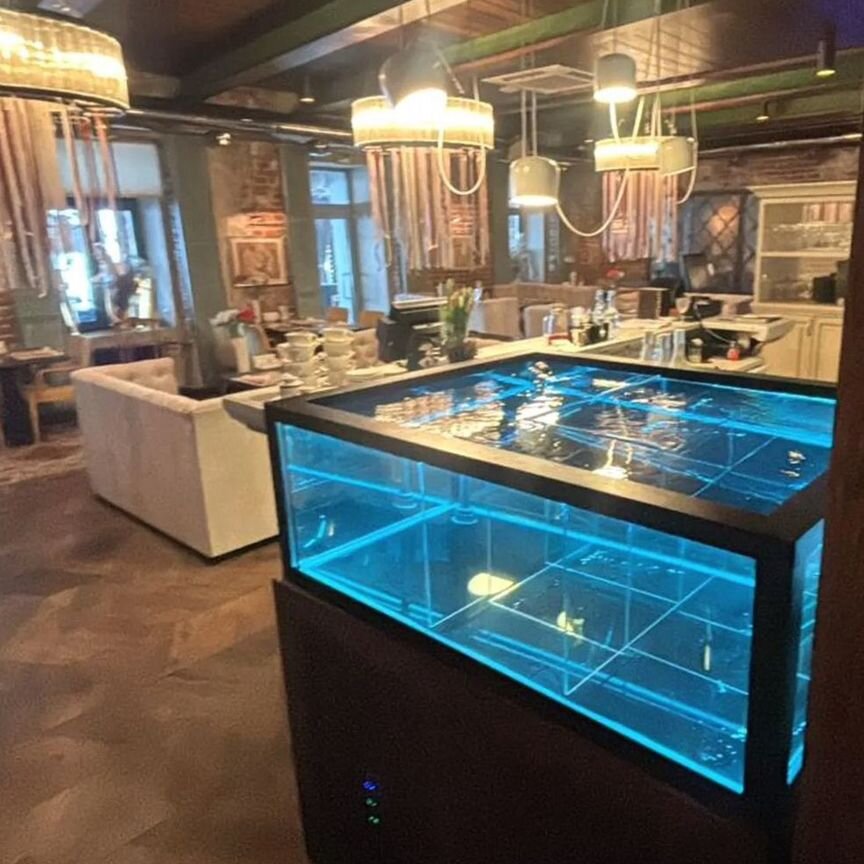 Аквариум для устриц