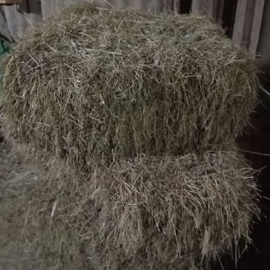 Сено в тюках