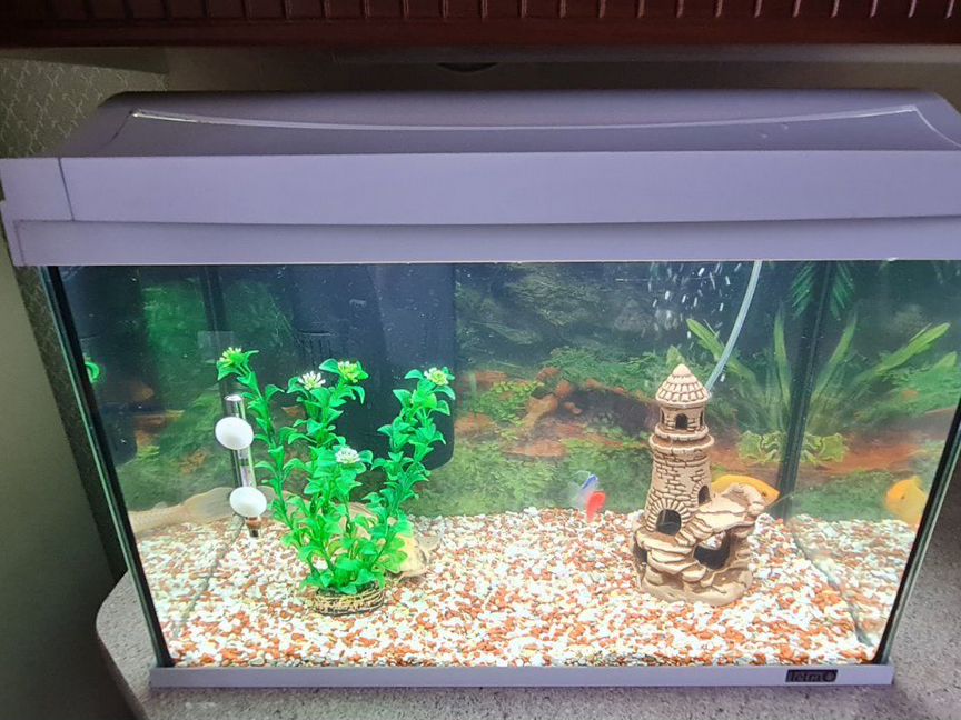 Аквариум Tetra на 60 л. с рыбками