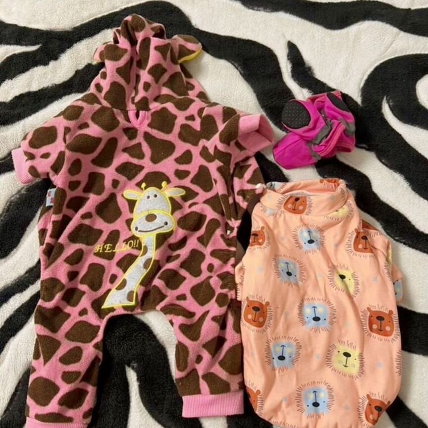 Одежда для собак мелких пород