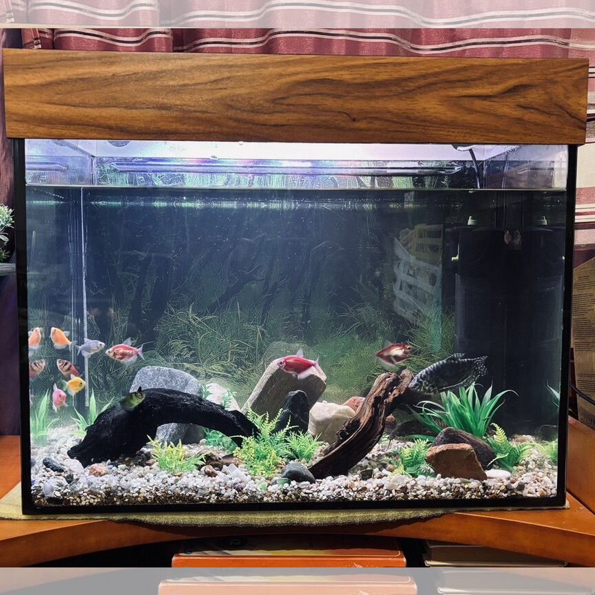 Аквариум с рыбками полный комплект