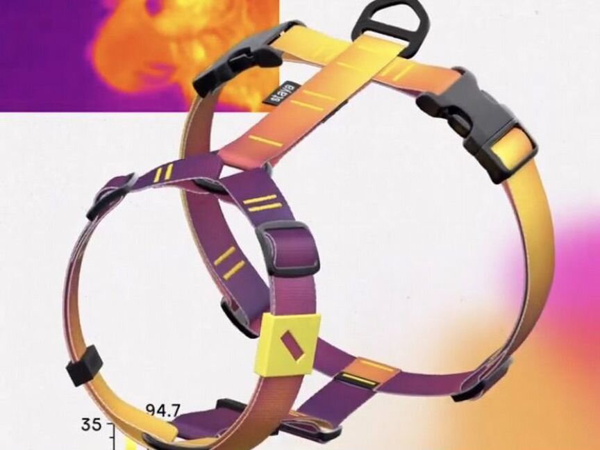 Анатомическая шлейка для собаки staya thermal