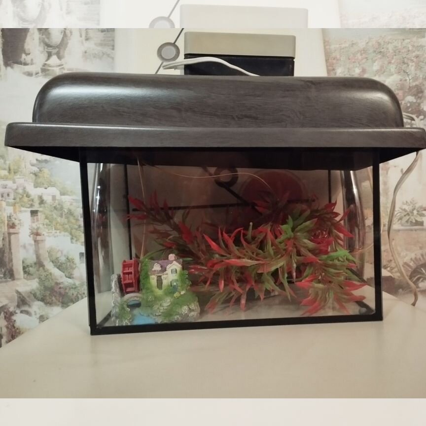 Аквариум для рыбок объёмом 10 литров