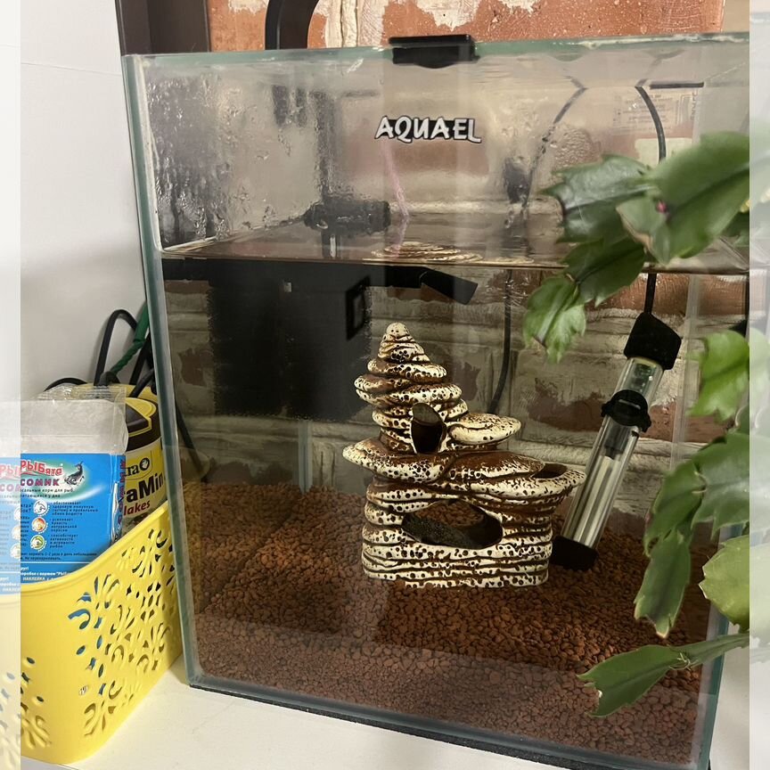 Аквариум 25 литров с сомиком и домиком