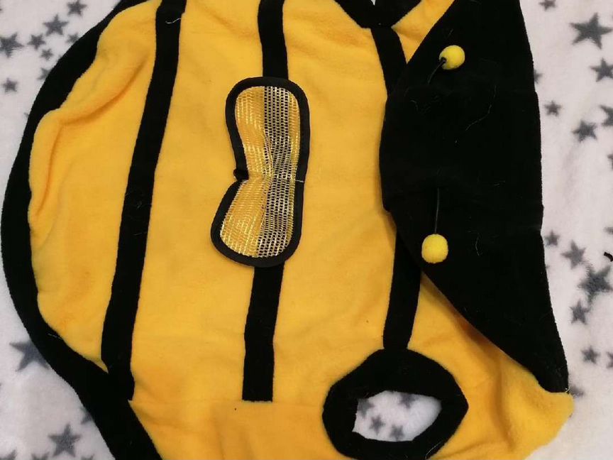 Для кошки костюм, шлейка, воротник