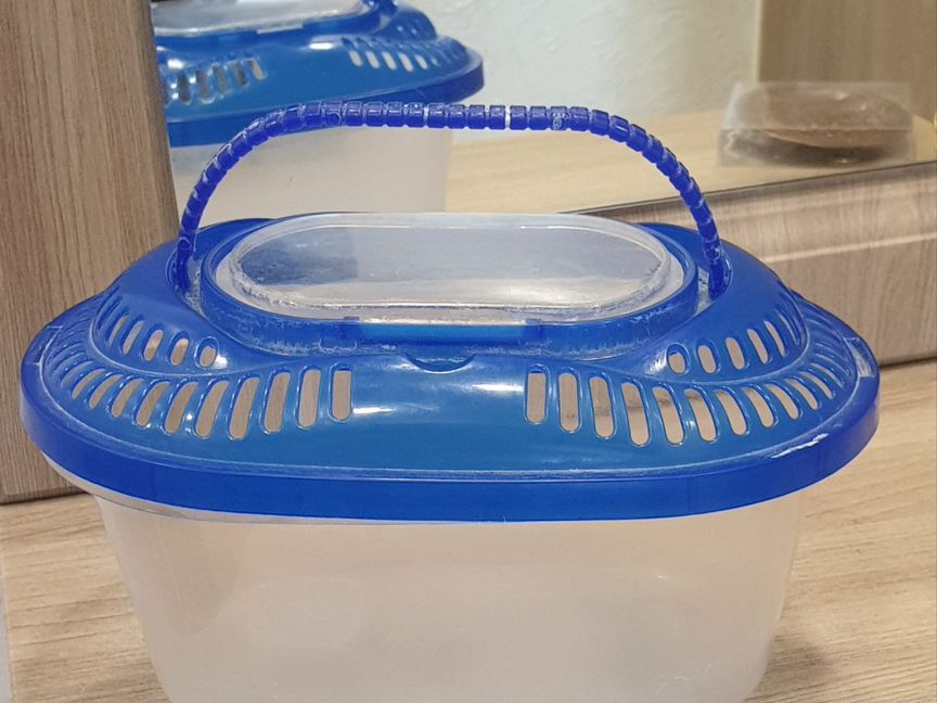 Аквариум-переноска