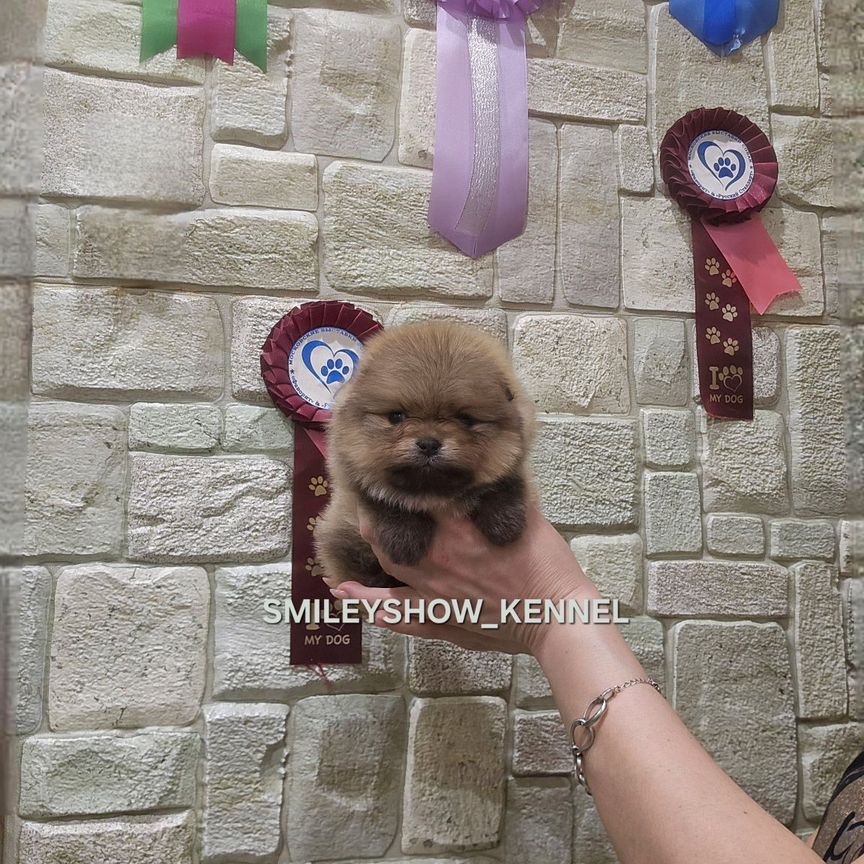 Мальчик мишка