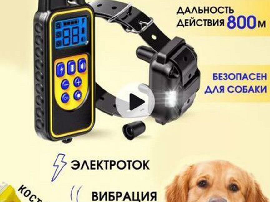 Электронный ошейник для собак