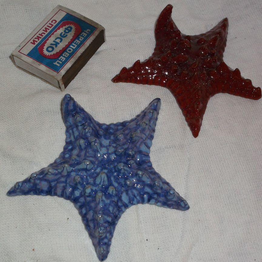 Морская звезда в аквариум