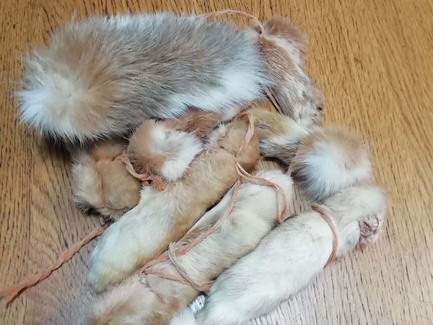 Хвостики и кроличьи лапки