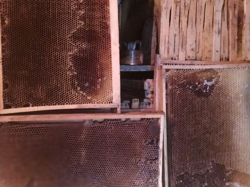 Сушь дадановская на 300