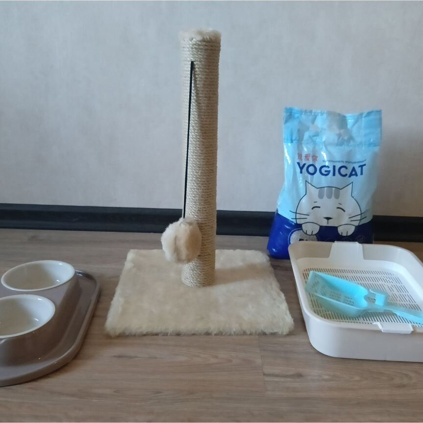 Набор вещей для кота