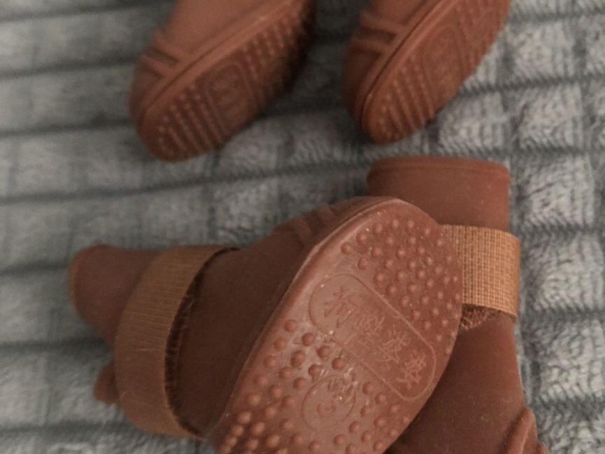 Оледла доя собачки чихуа хуа