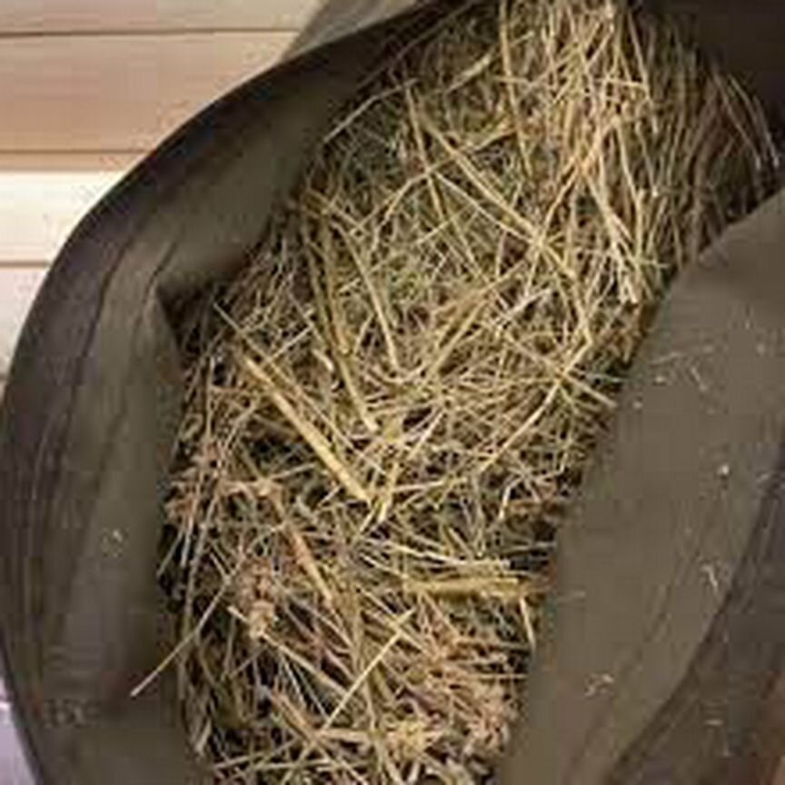 Сено для грызунов