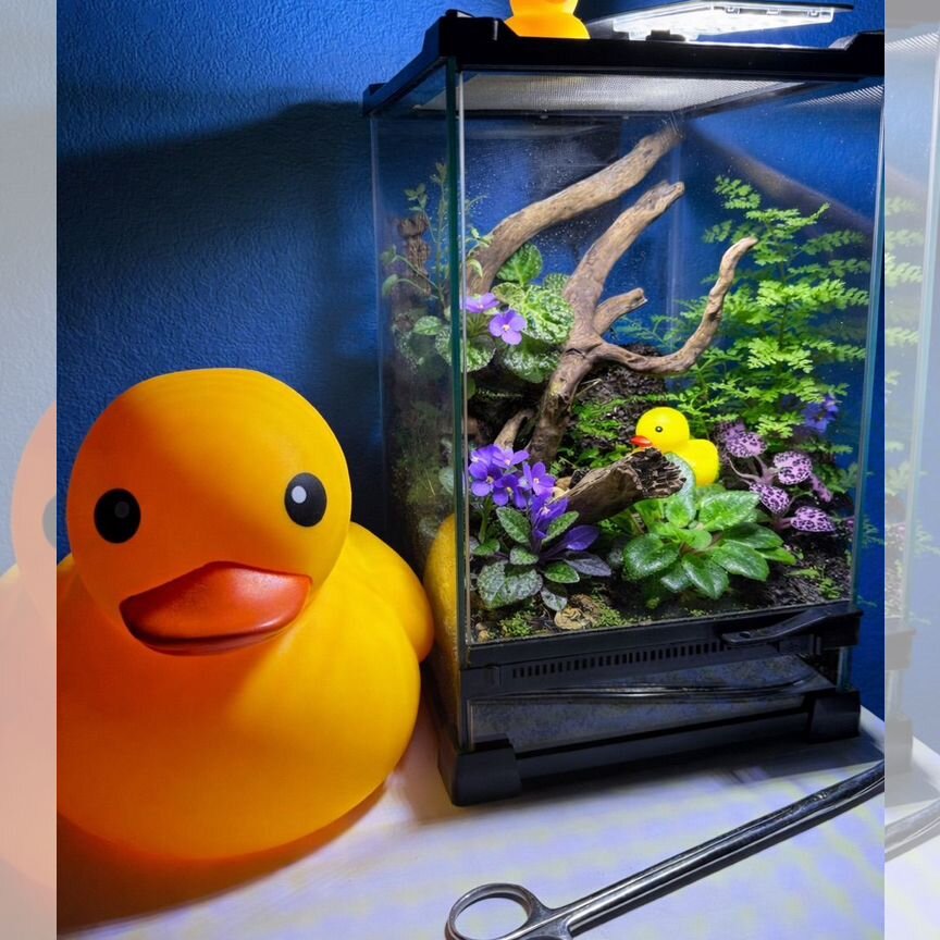 Террариум 20х20х30 для уточки