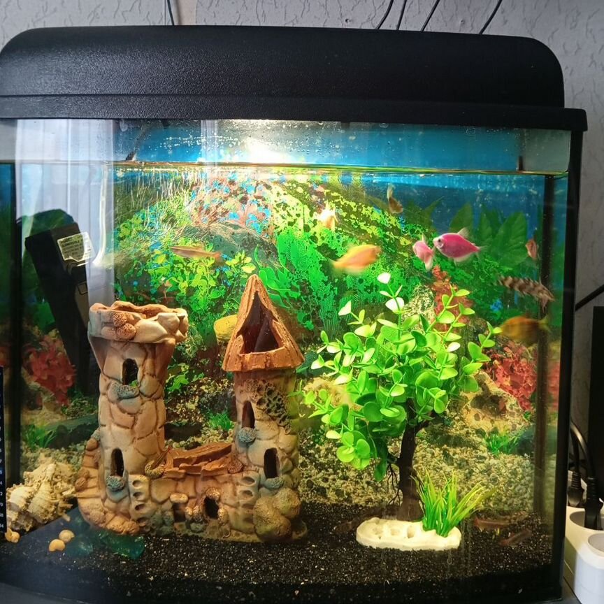Продам аквариум с рыбками