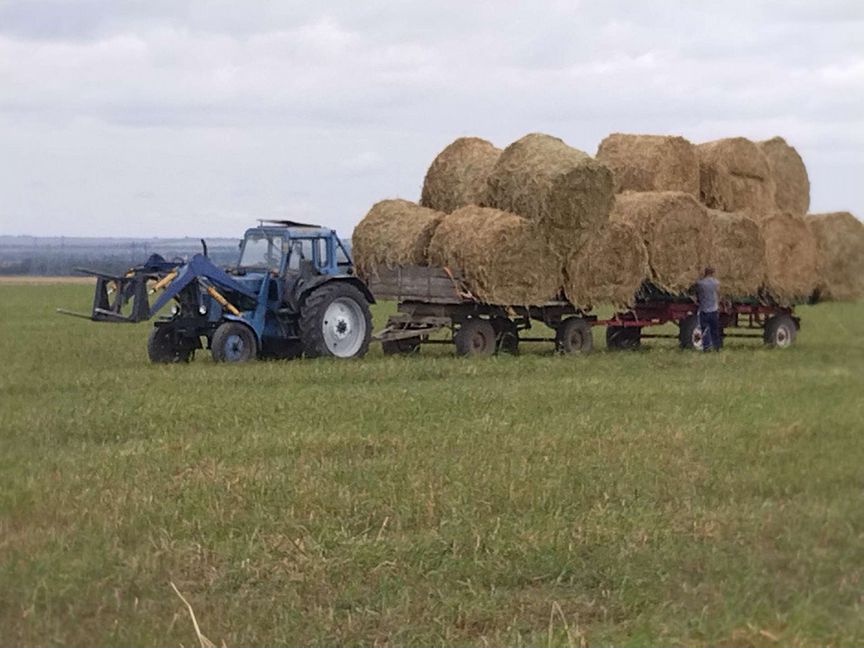 Солома в рулонах