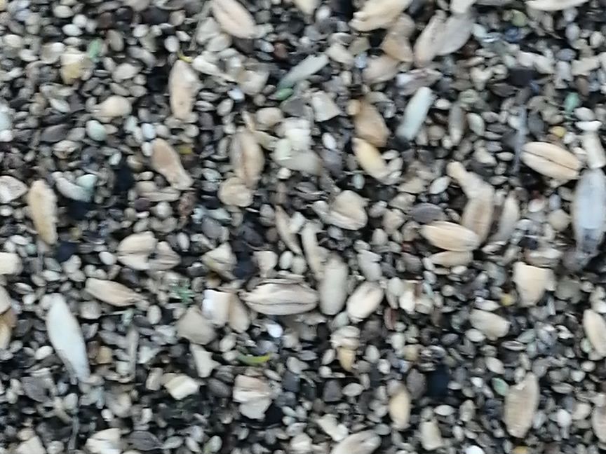 Зерновые отходы для животных, цена за один мешок