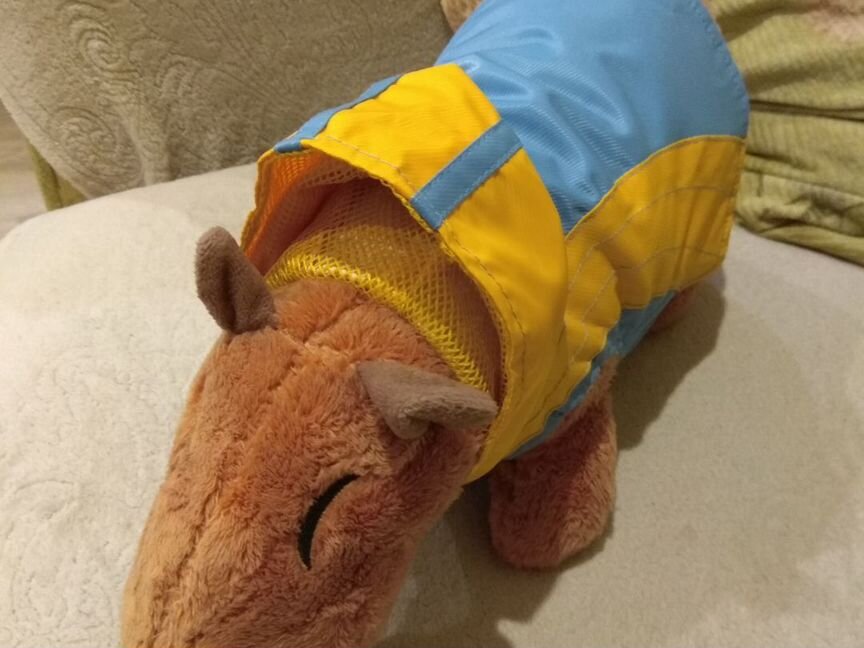 Одежда для собак