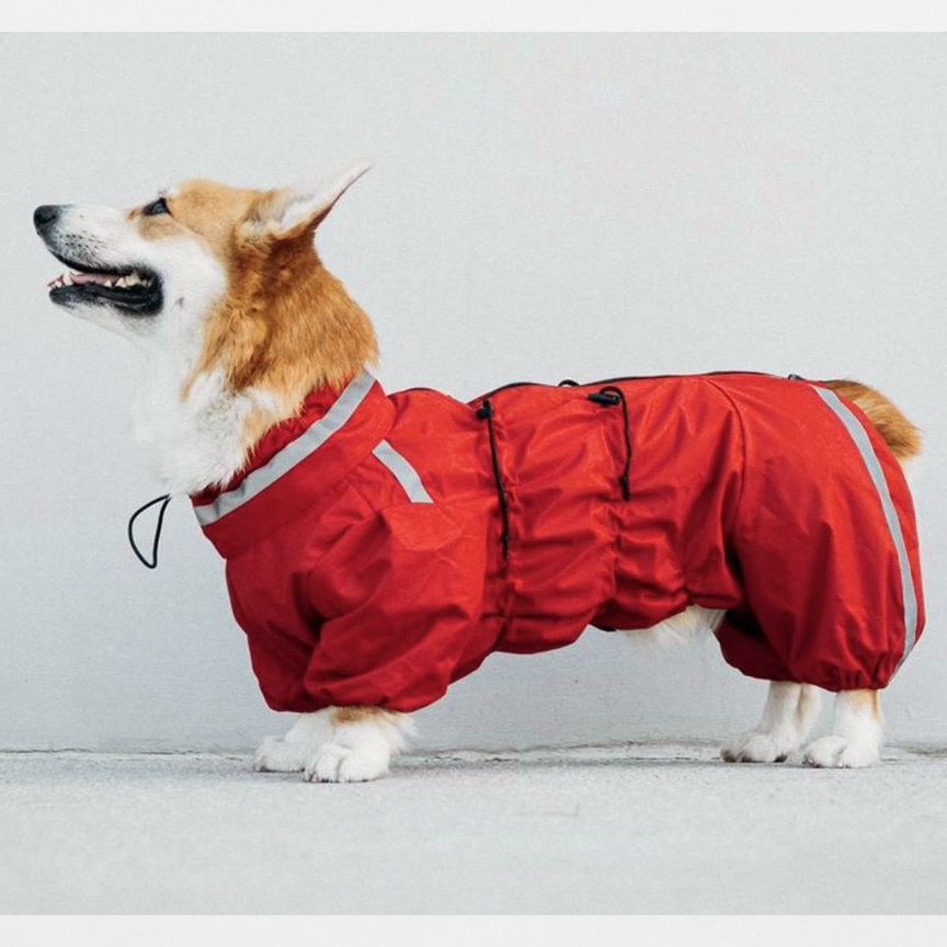 Одежда для собак, комбинезон для корги (мальчик)