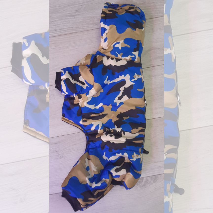 Одежда для собак