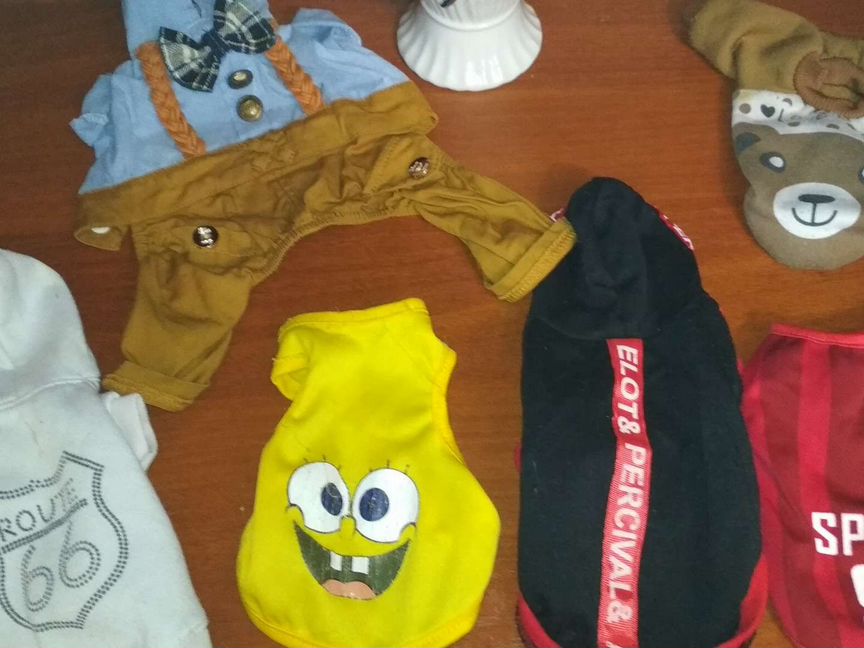 Вещи для маленьких собак, щенков