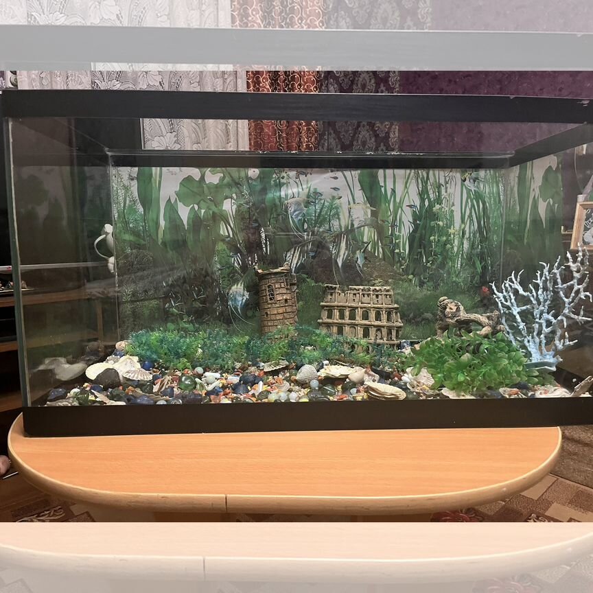 Аквариум