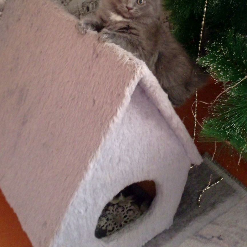 Продам домик для кошек