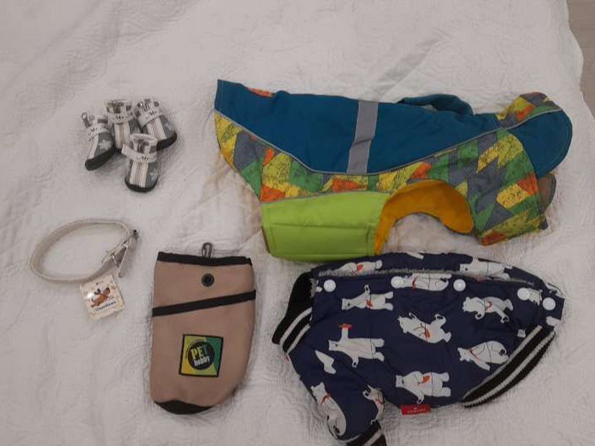 Одежда для собак