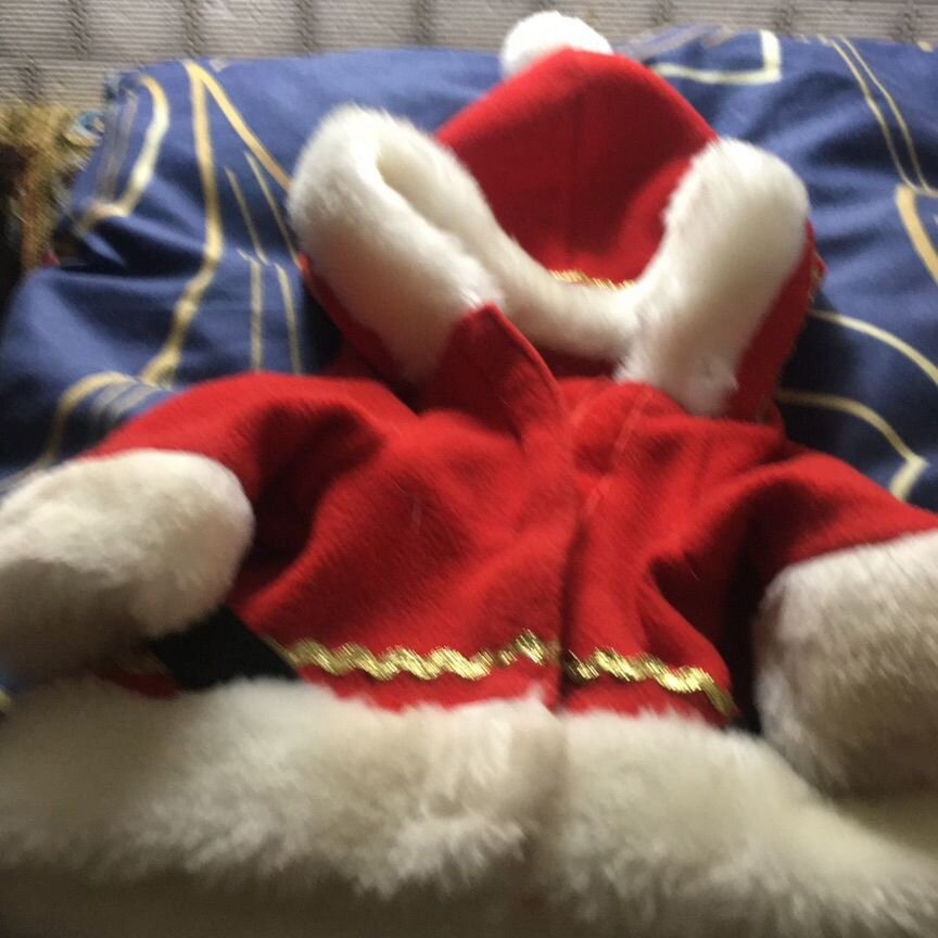 Новогодний костюм для домашнего питомца