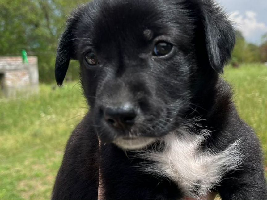 Мальчик бутузик вырастет небольшой