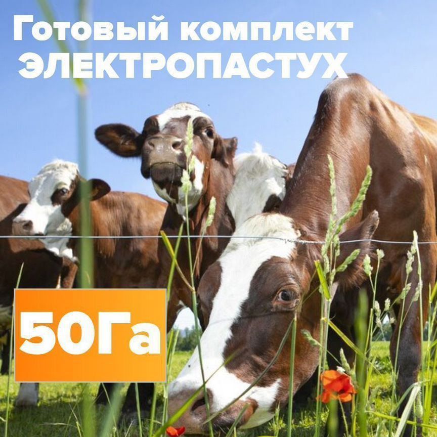 Комплект электропастух 50 Га