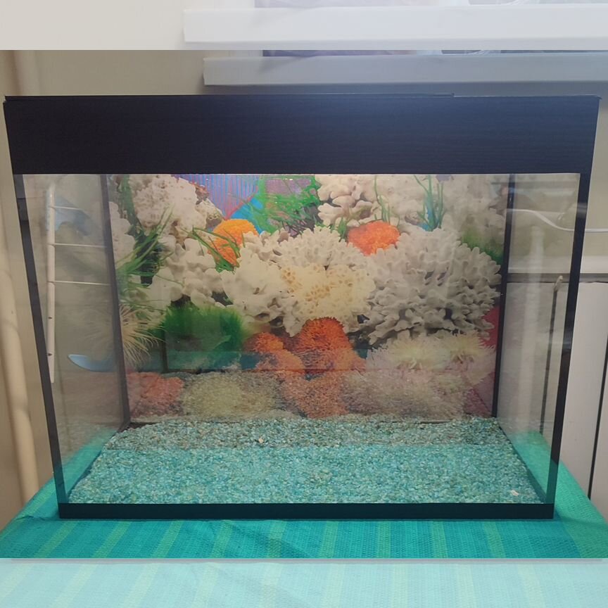 Аквариум с крышкой