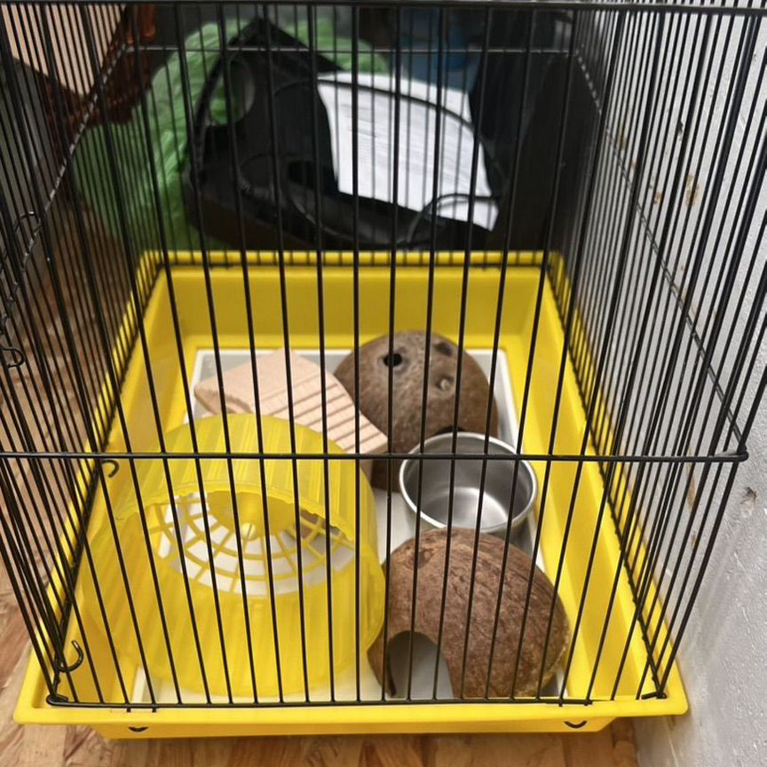 Клетка для грызунов