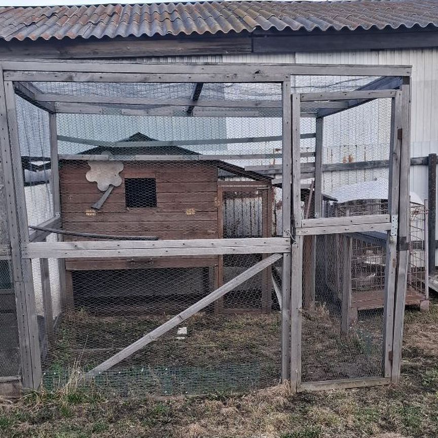 Курятник с пристройкой