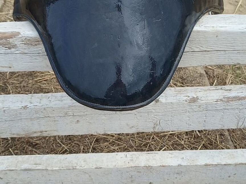 Подпруга фартук