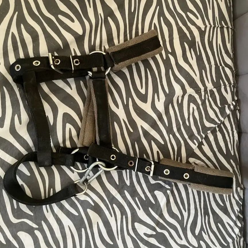 Недоуздок для лошади full