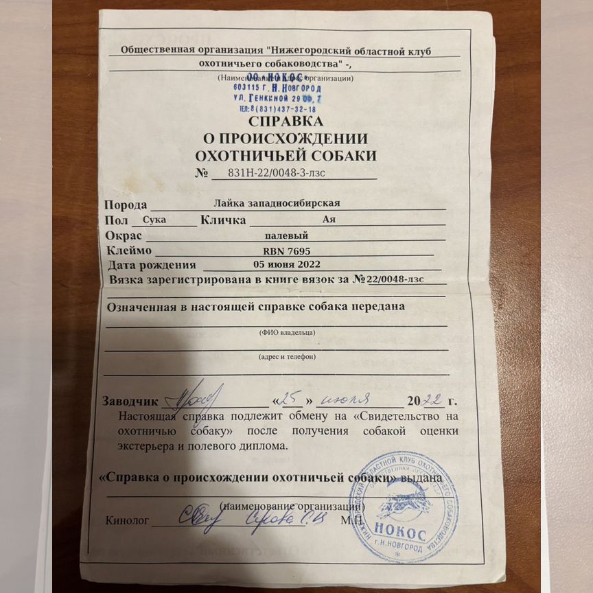 Продам суку зсл