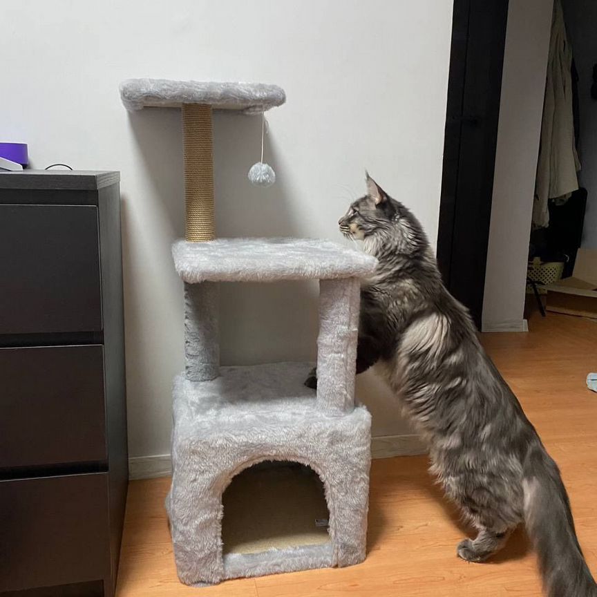 Когтеточка с домиком