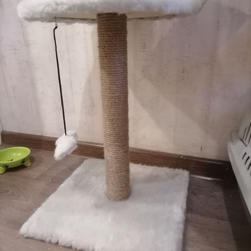 Когтеточка для кошек