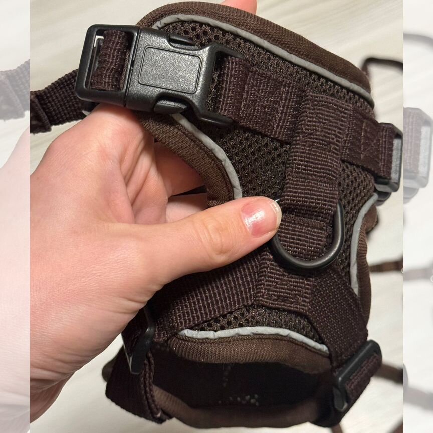 Шлейка анатомическая для собак мелких пород