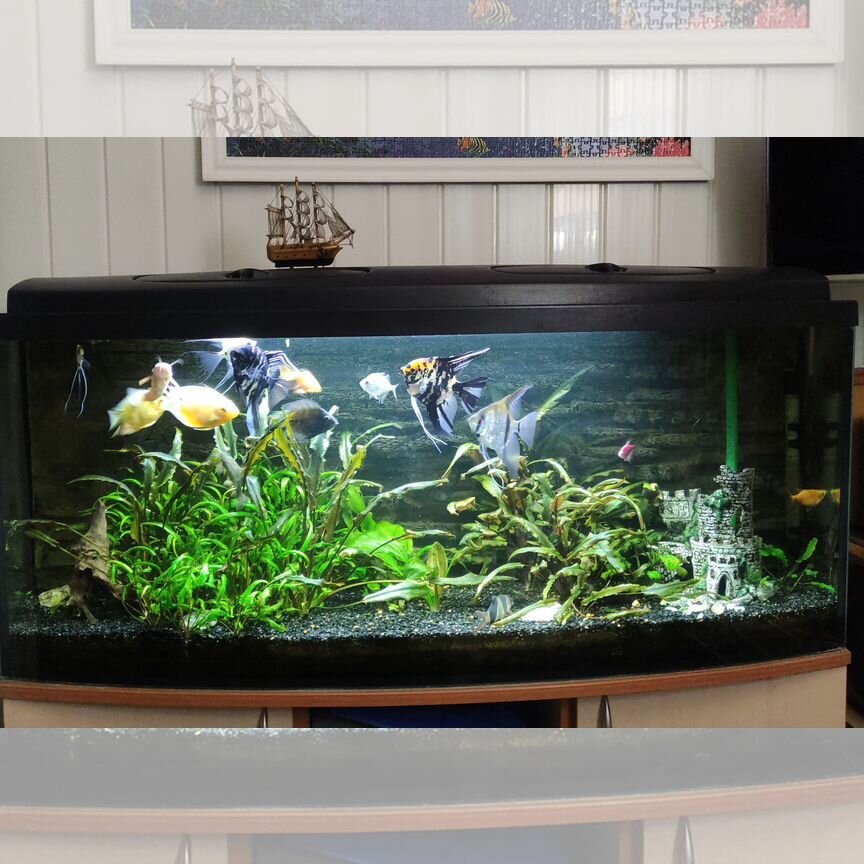 Аквариум с тумбой 220л