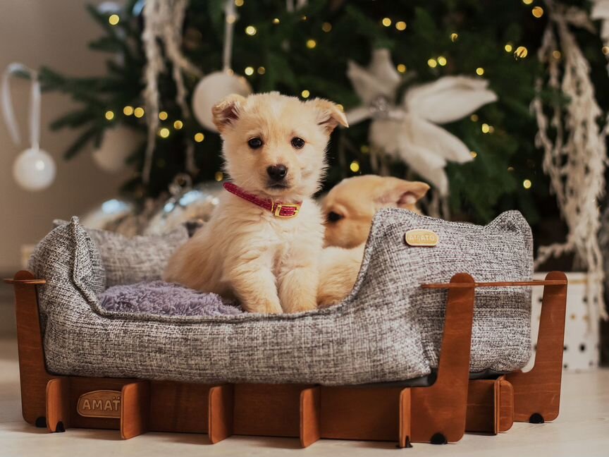 Лежанка для собак мелких пород и кошек 60х50 см